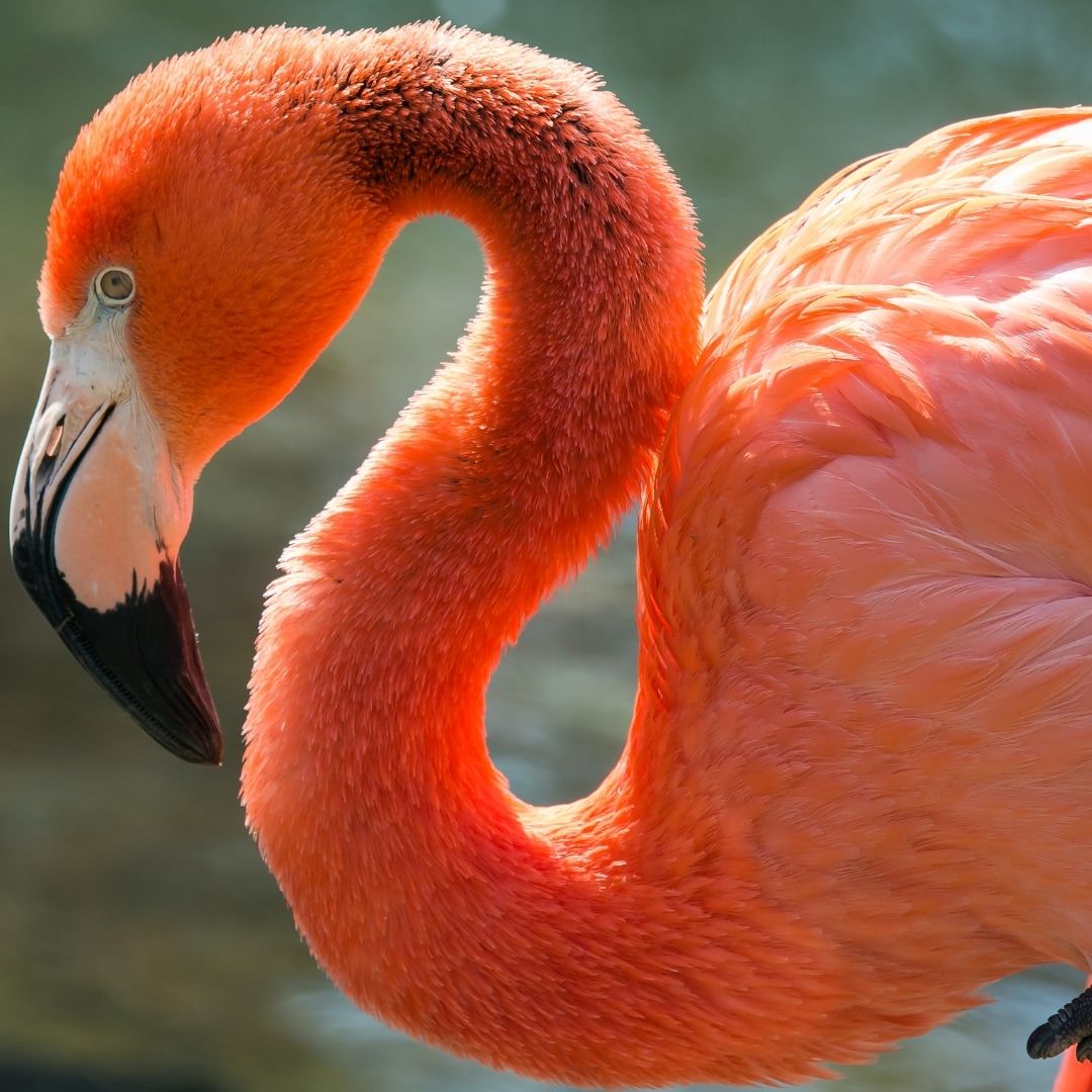 35 Awesome Things To Do In Pittsburgh With Kids