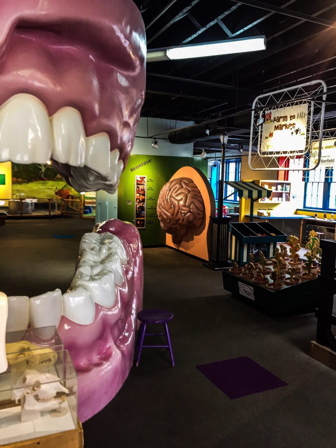 Fun Things To Do In Lexington Kentucky