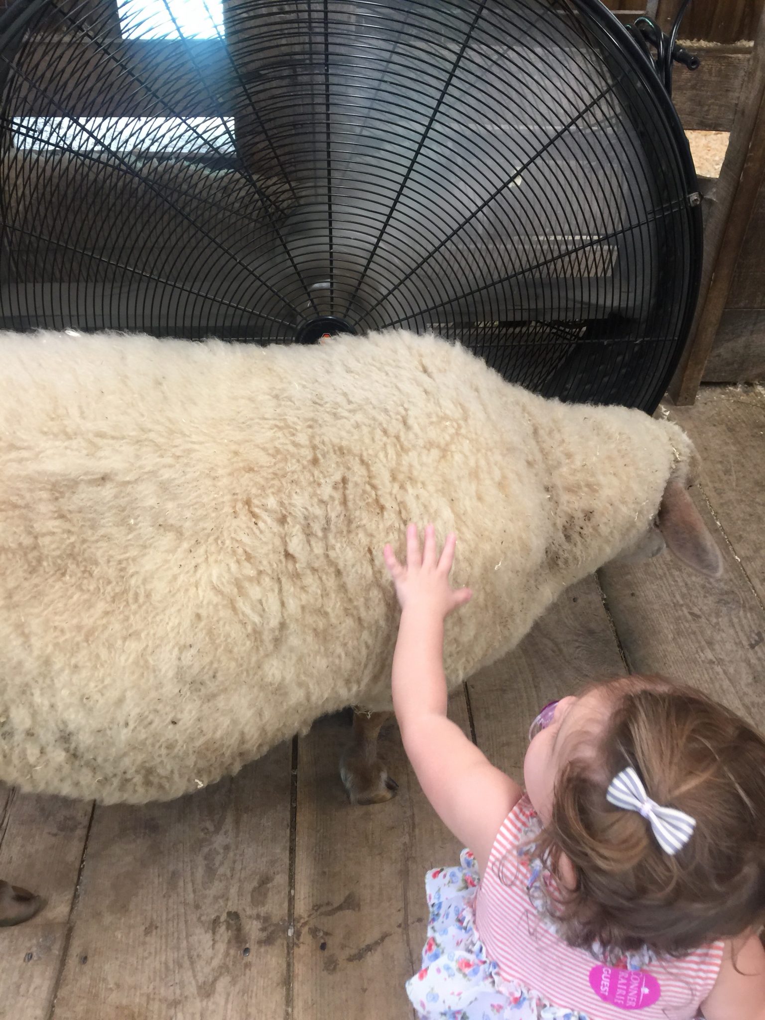 Six Reasons Why You Need to Take Your Family to Conner Prairie