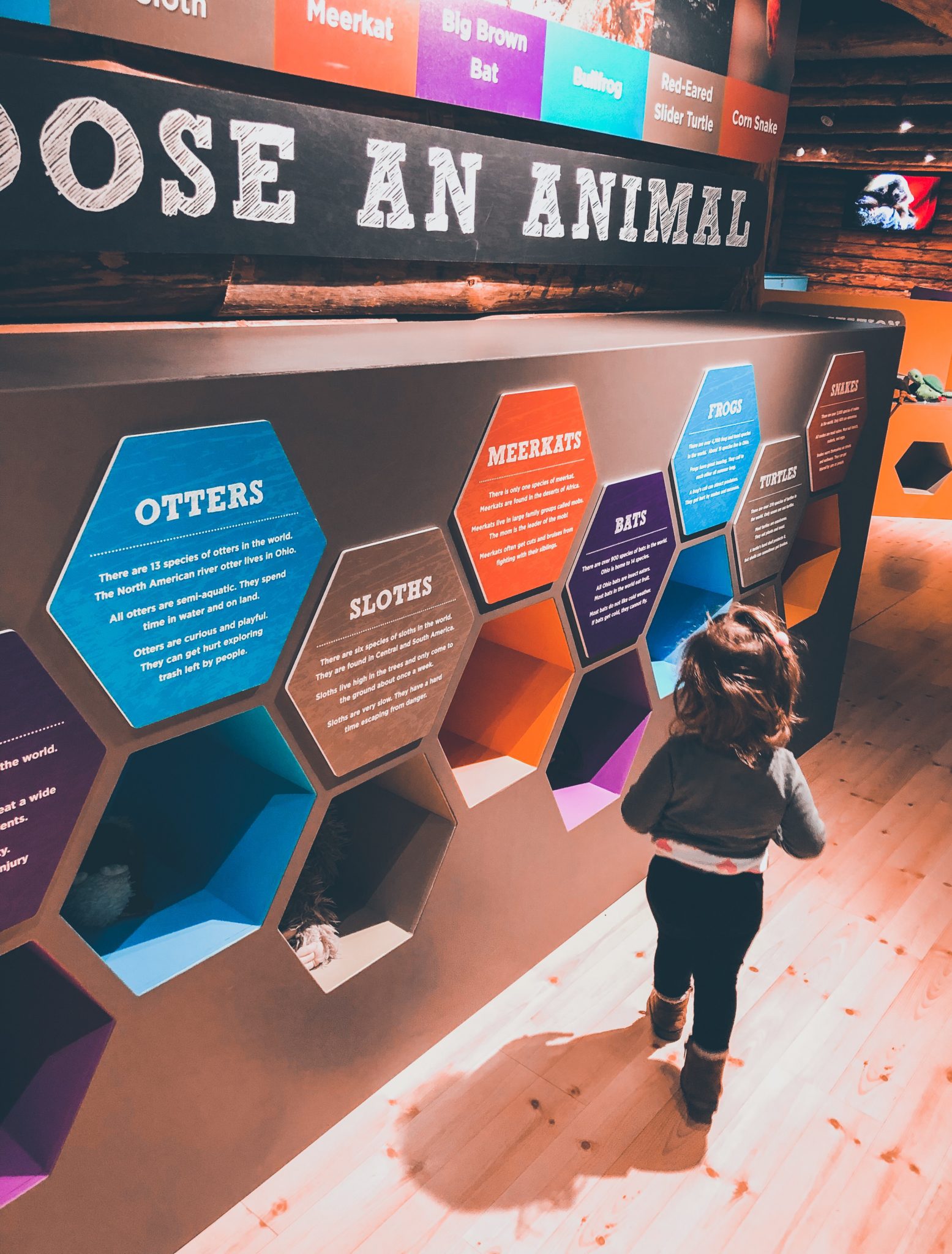 What’s Inside the Boonshoft Museum of Discovery?