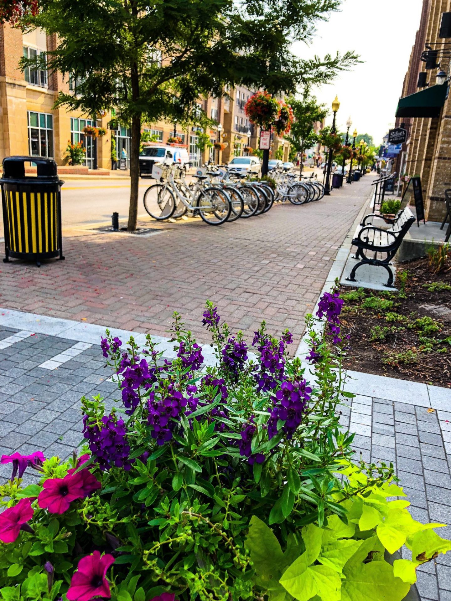 The Monon Trail: A Guide To Biking Through Hamilton County, Indiana.