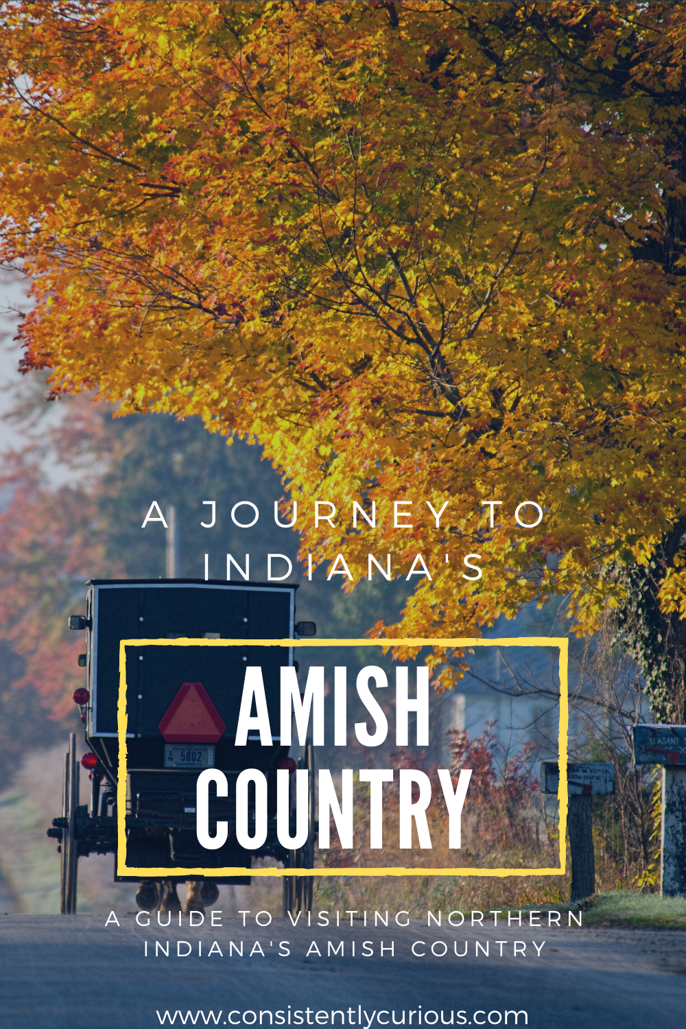7 Amish Experiences To Have During Your Trip To Indiana Amish Country