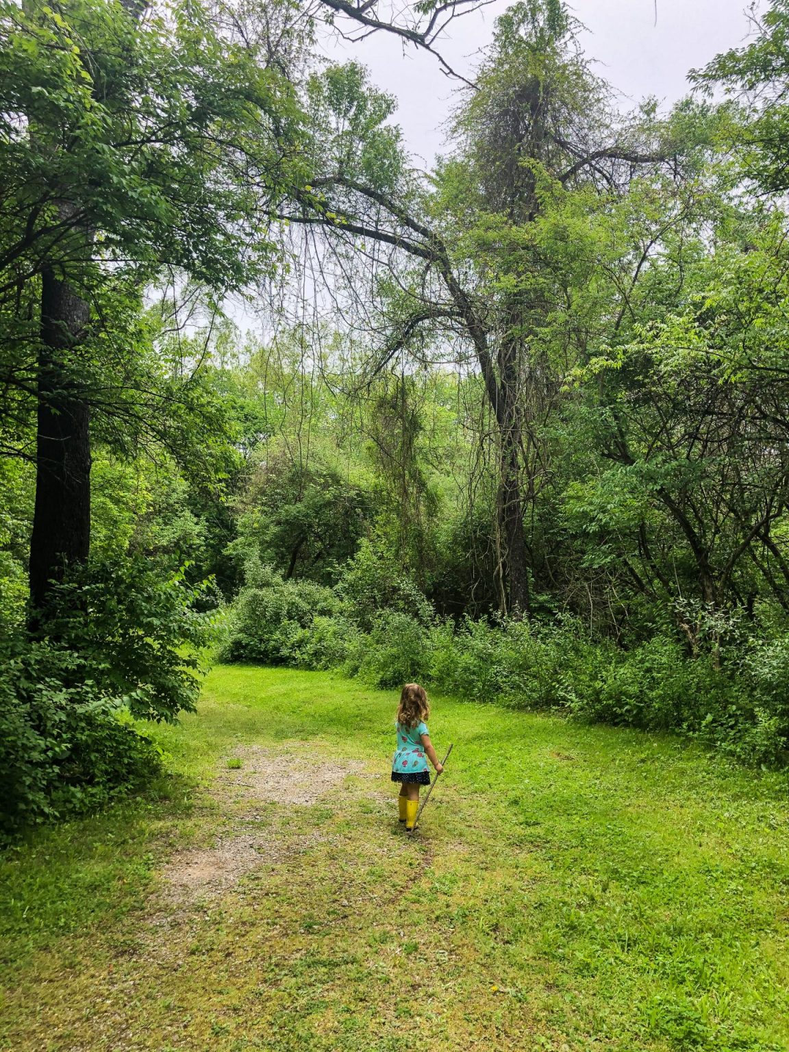 Seven Nature Preserves That Offer The Best Hiking Trails In Cincinnati
