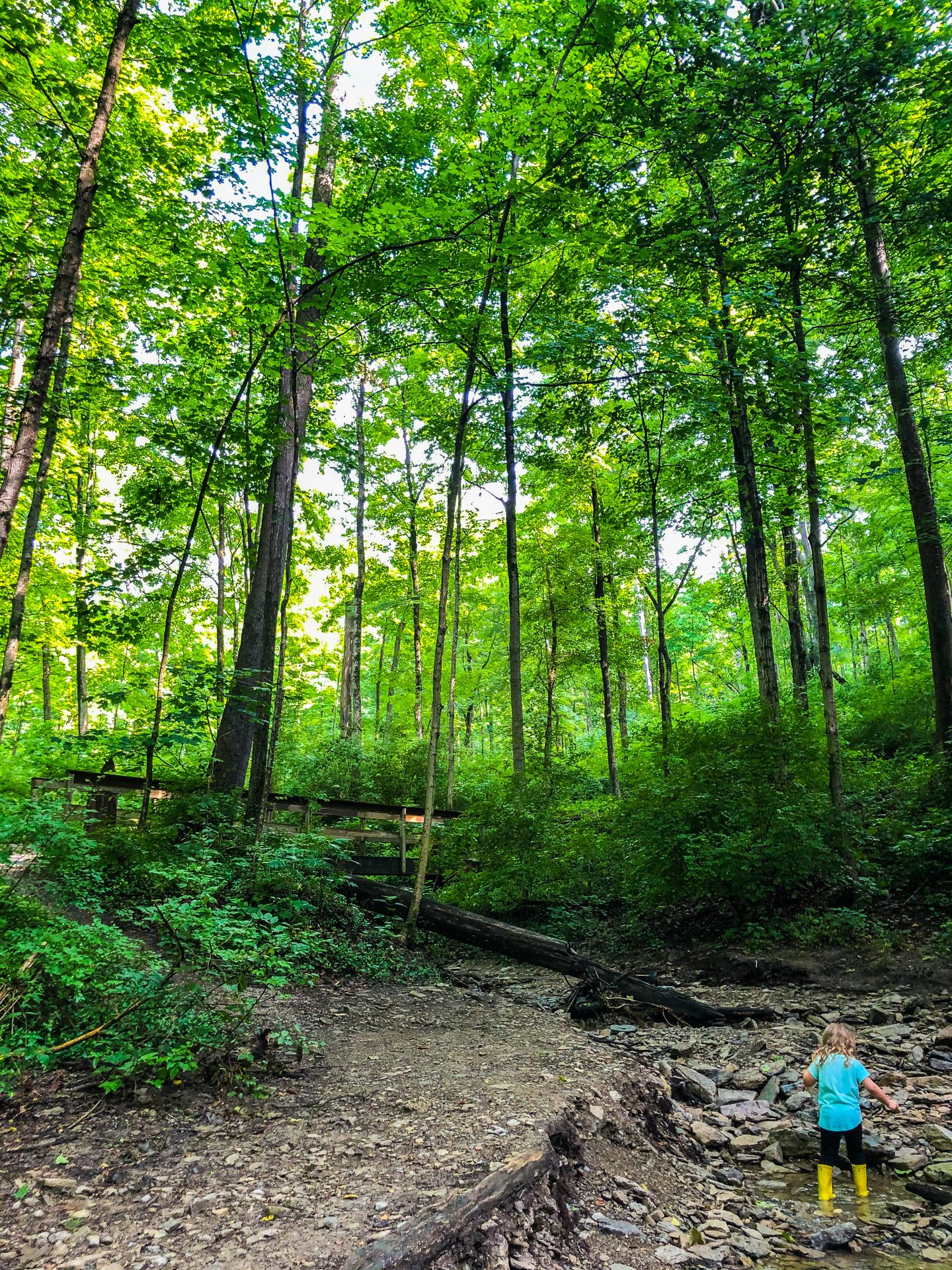 3 Reasons To Visit The Caldwell Nature Preserve In Cincinnati