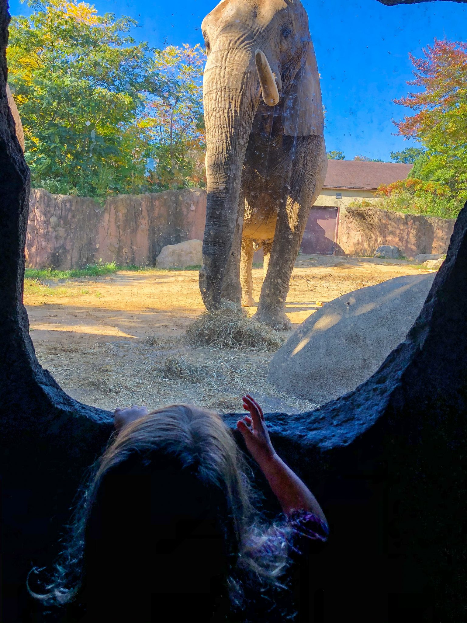 25 Adventures To Put On Your Ohio Summer Bucket List