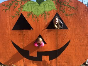 2025 Guide To Fall Activities In Cincinnati