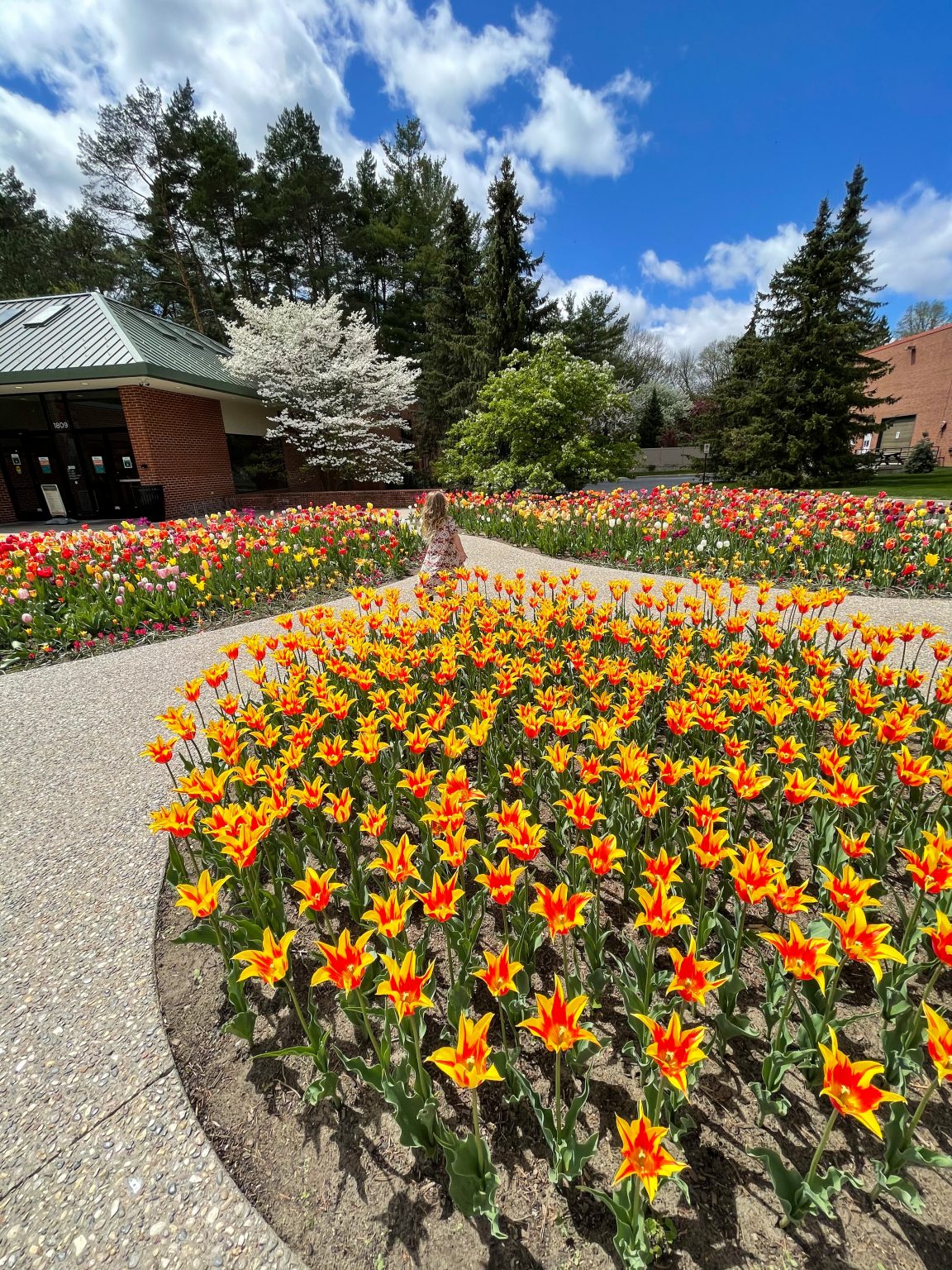 7 Awesome Places To Visit In The Great Lakes Bay Region of Michigan