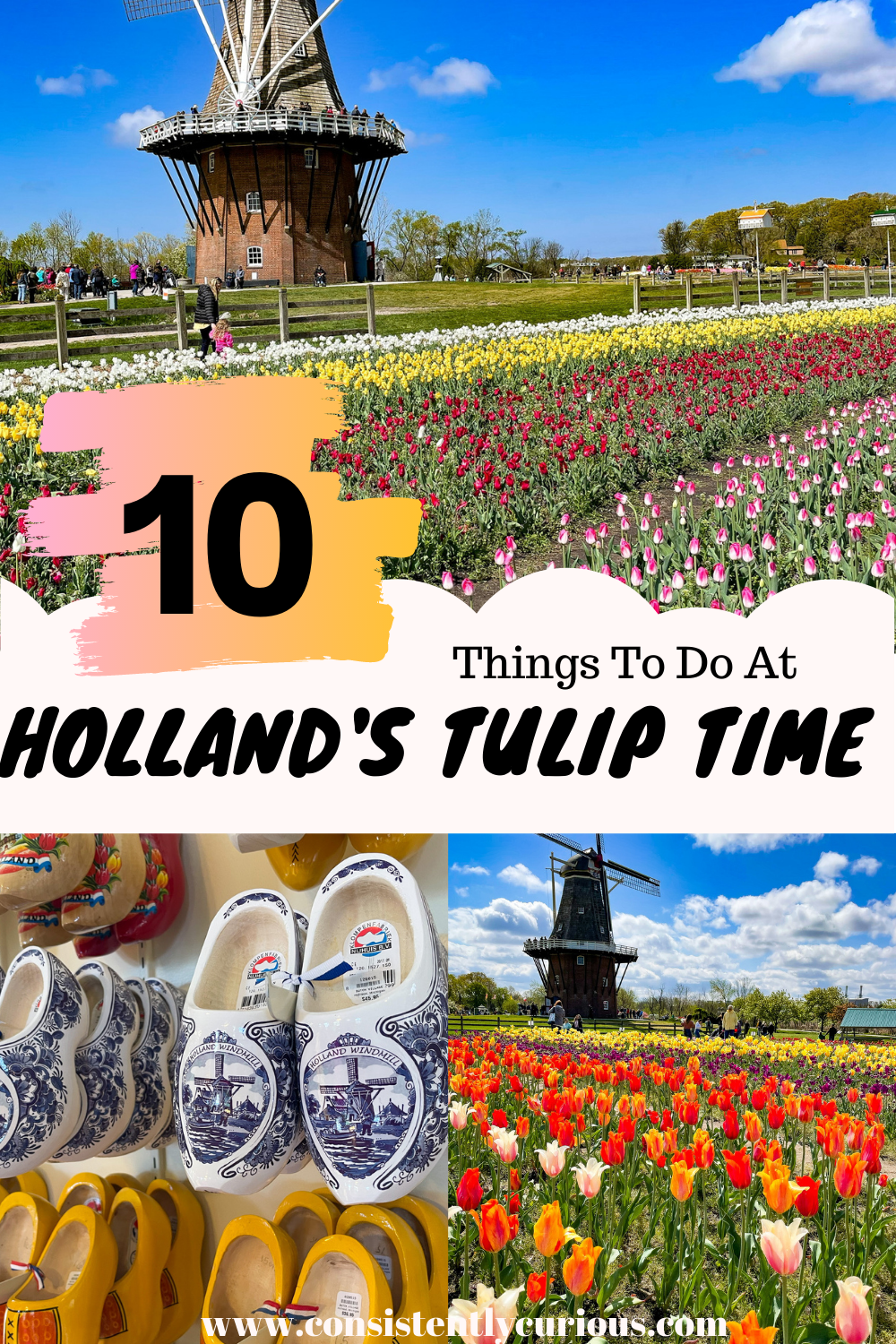 The Best Place To See Tulips In Holland Michigan