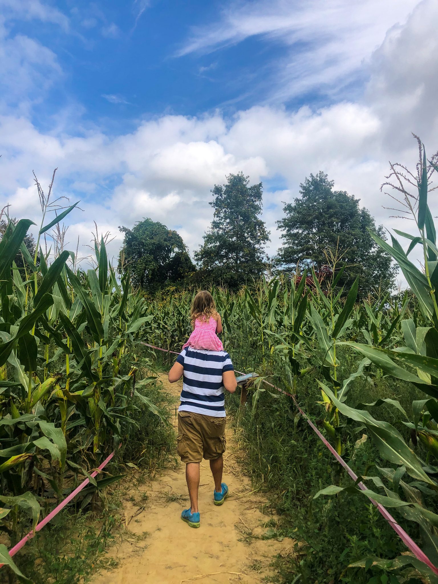 2025 Guide To Fall Activities In Cincinnati