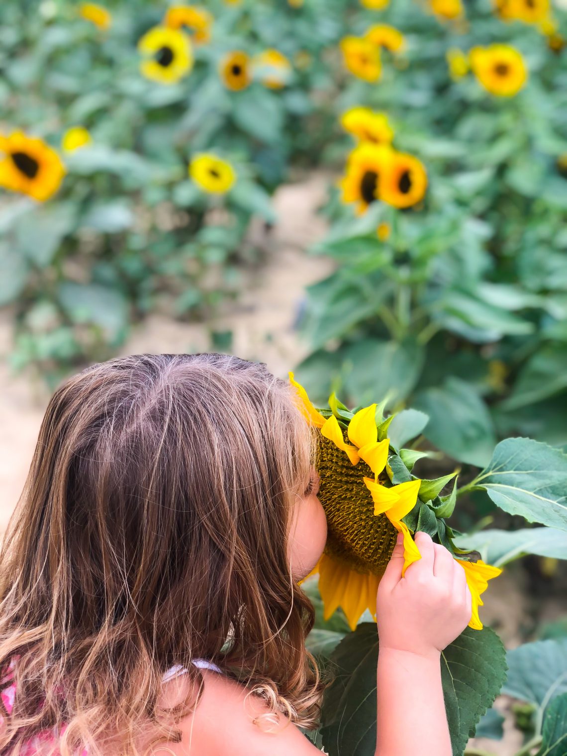 Beautiful Places To Explore In Ohio This Fall