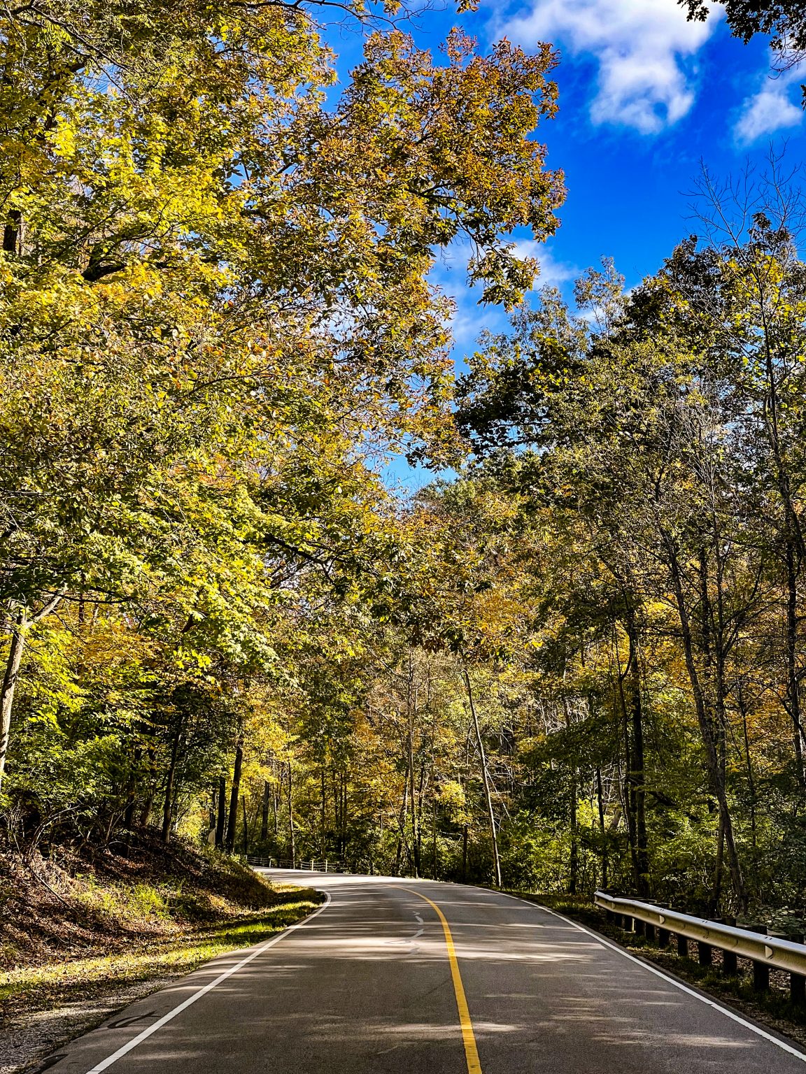 The Best Places To See Fall Foliage In Cincinnati