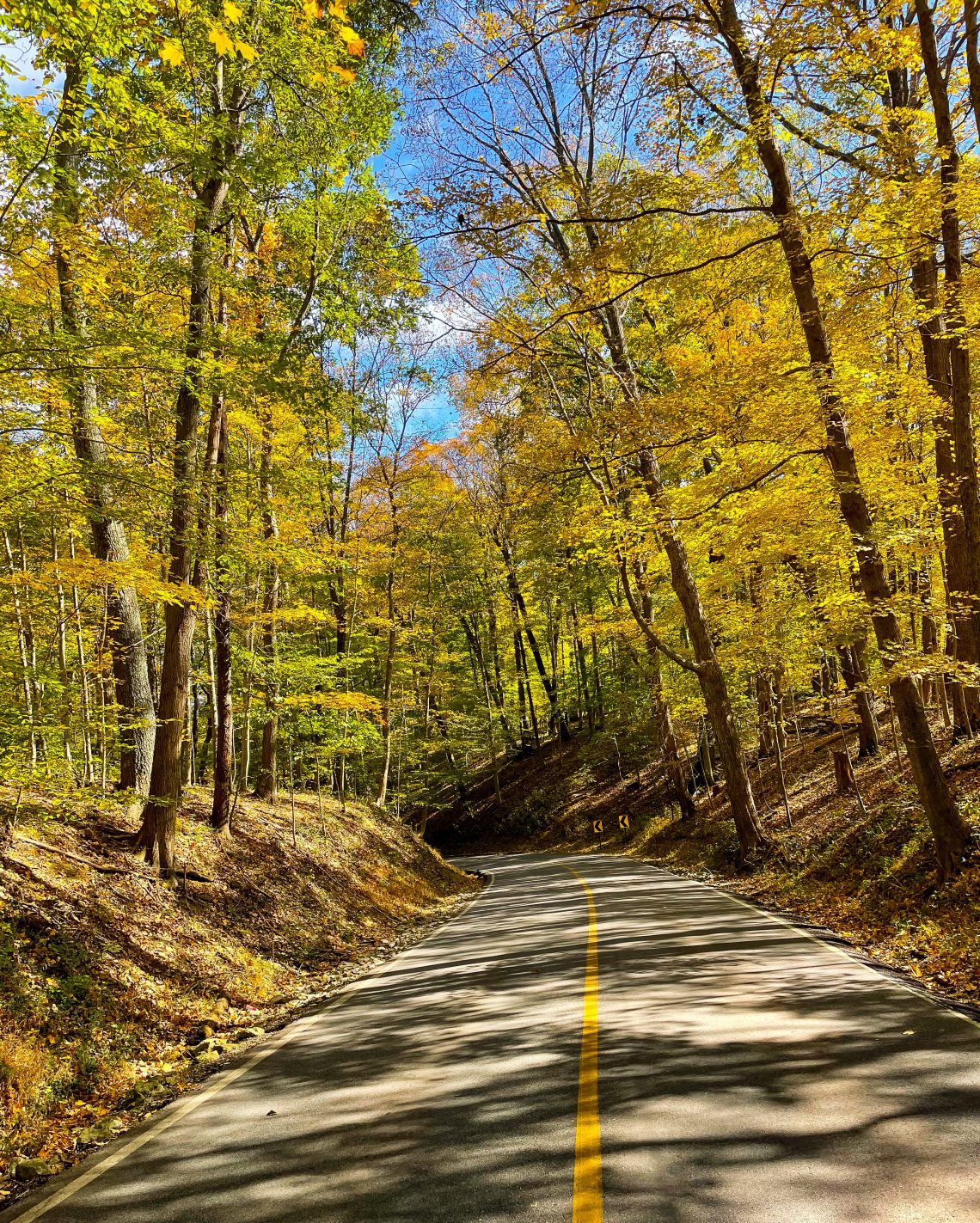 2025 Guide To Fall Activities In Cincinnati