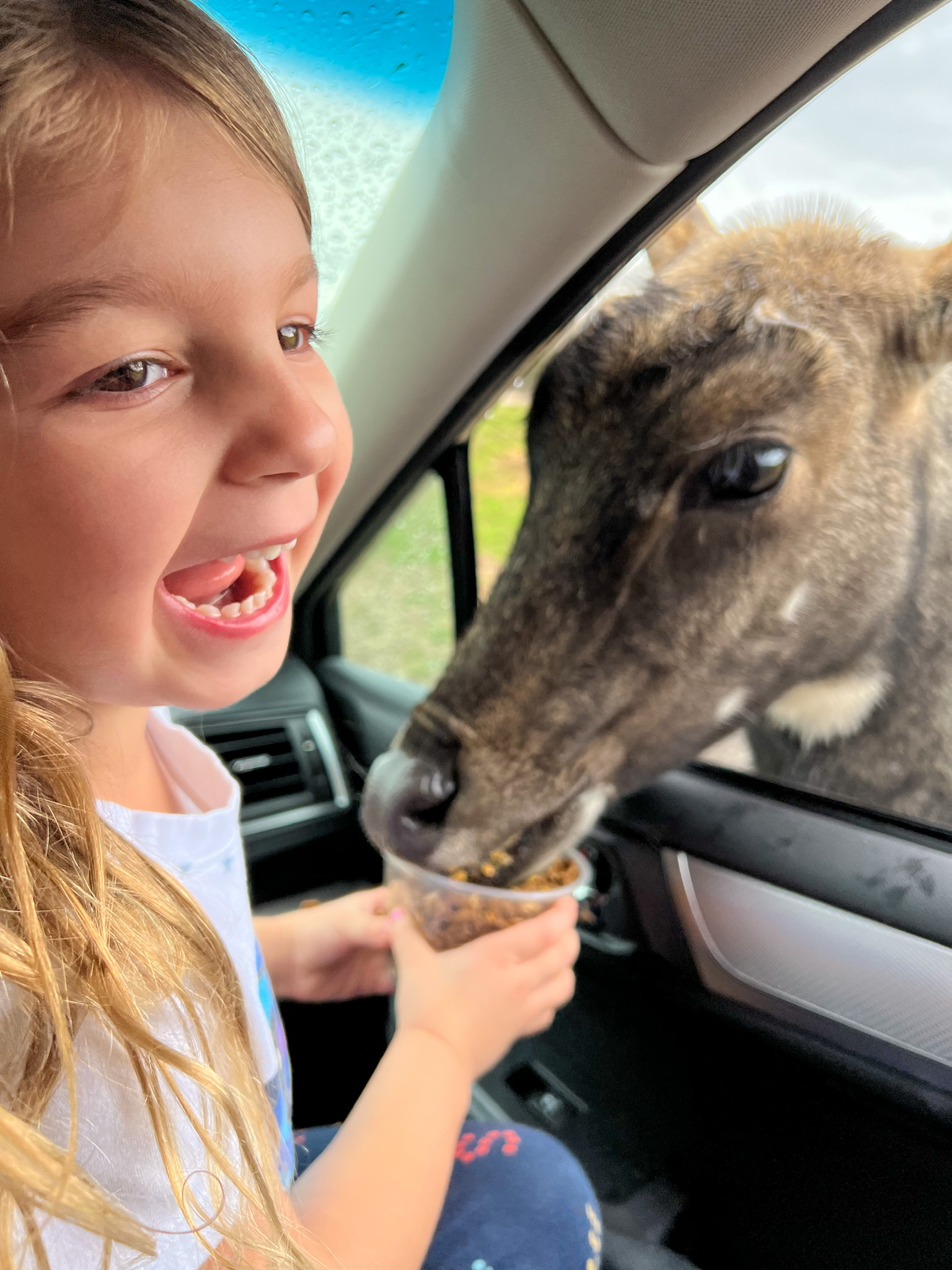 20 Exciting Things To Do In French Lick Indiana