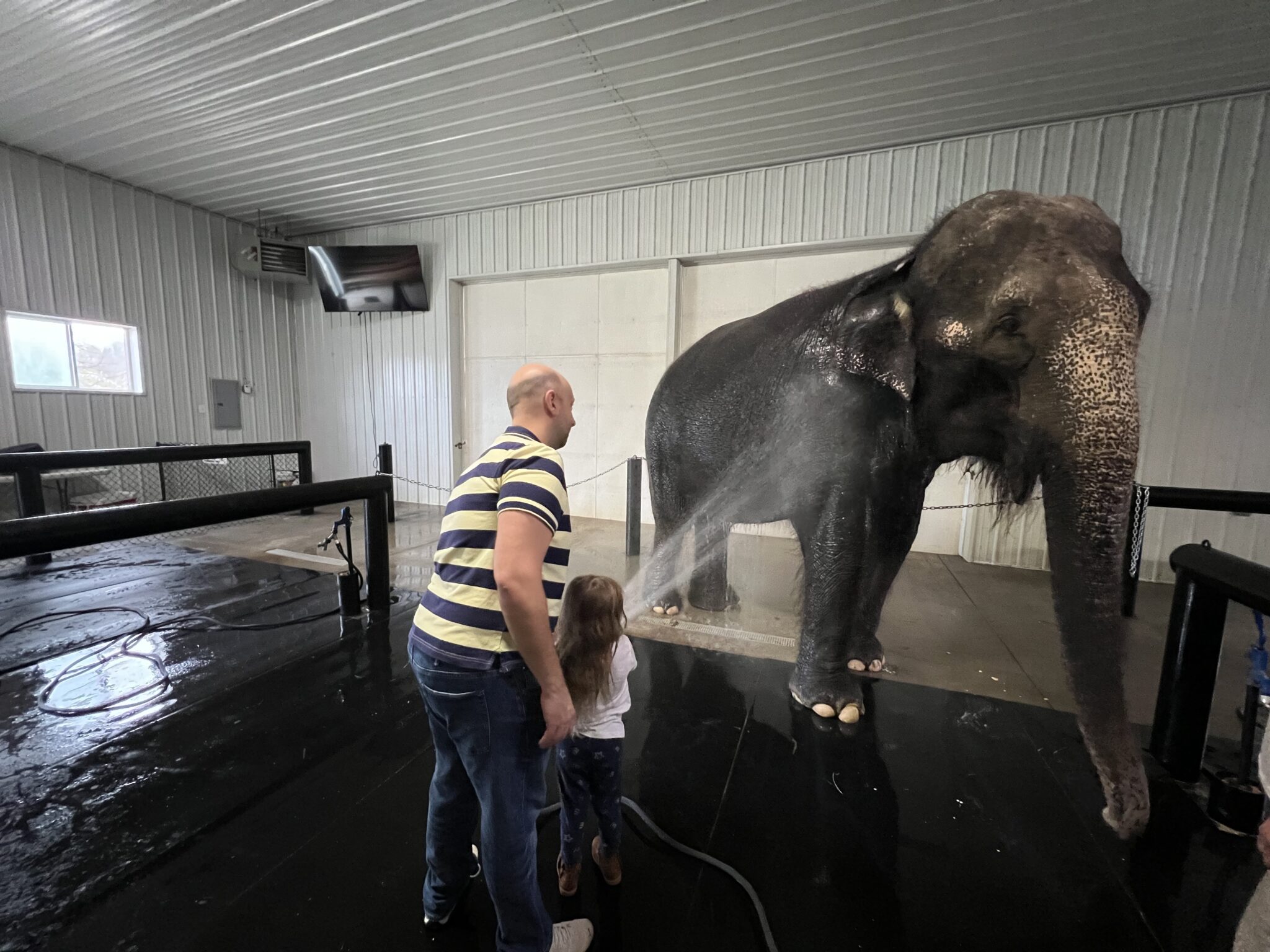 20 Exciting Things To Do In French Lick Indiana