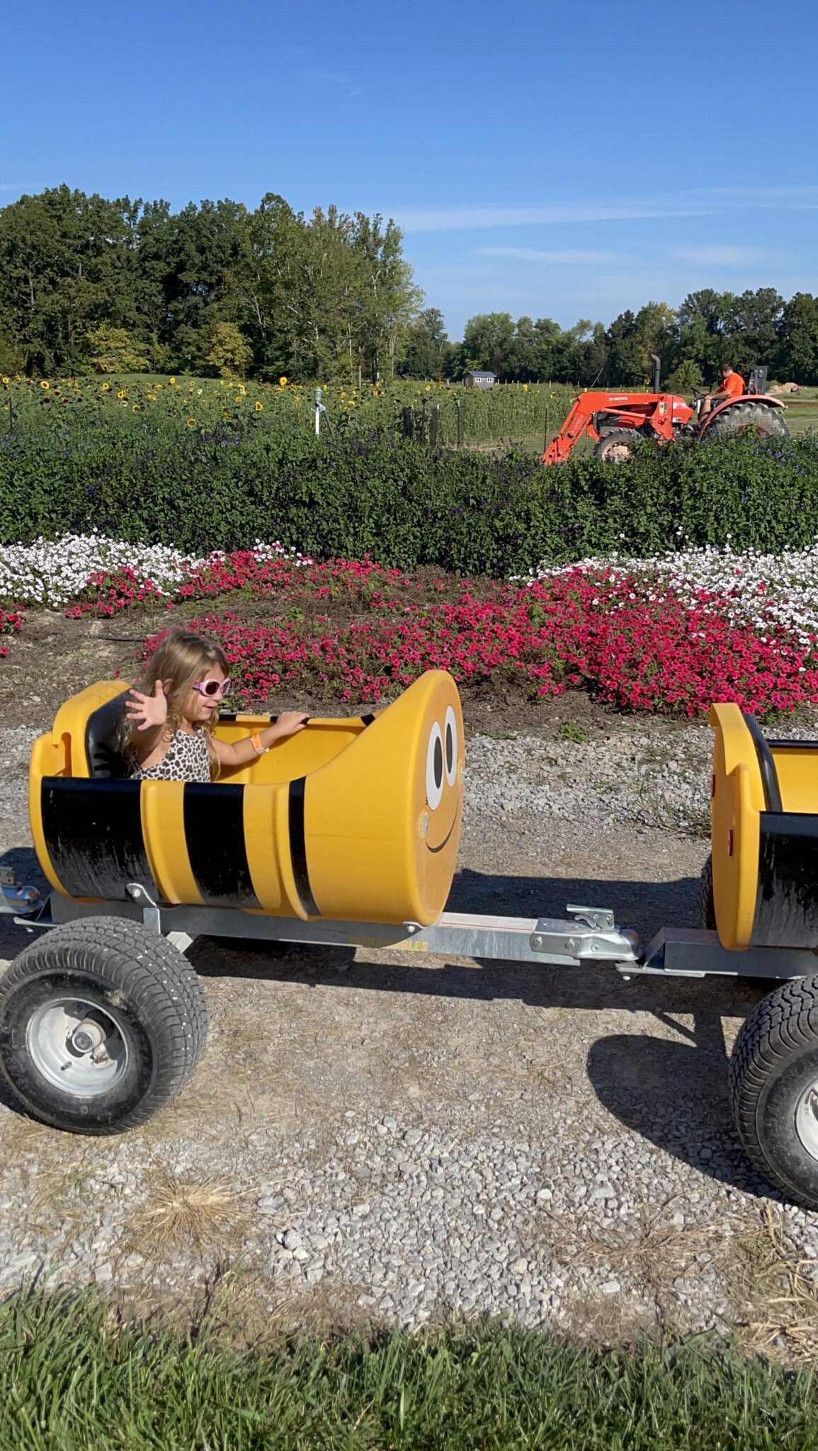 3 Reasons Locals Love Blooms and Berries Farm Market