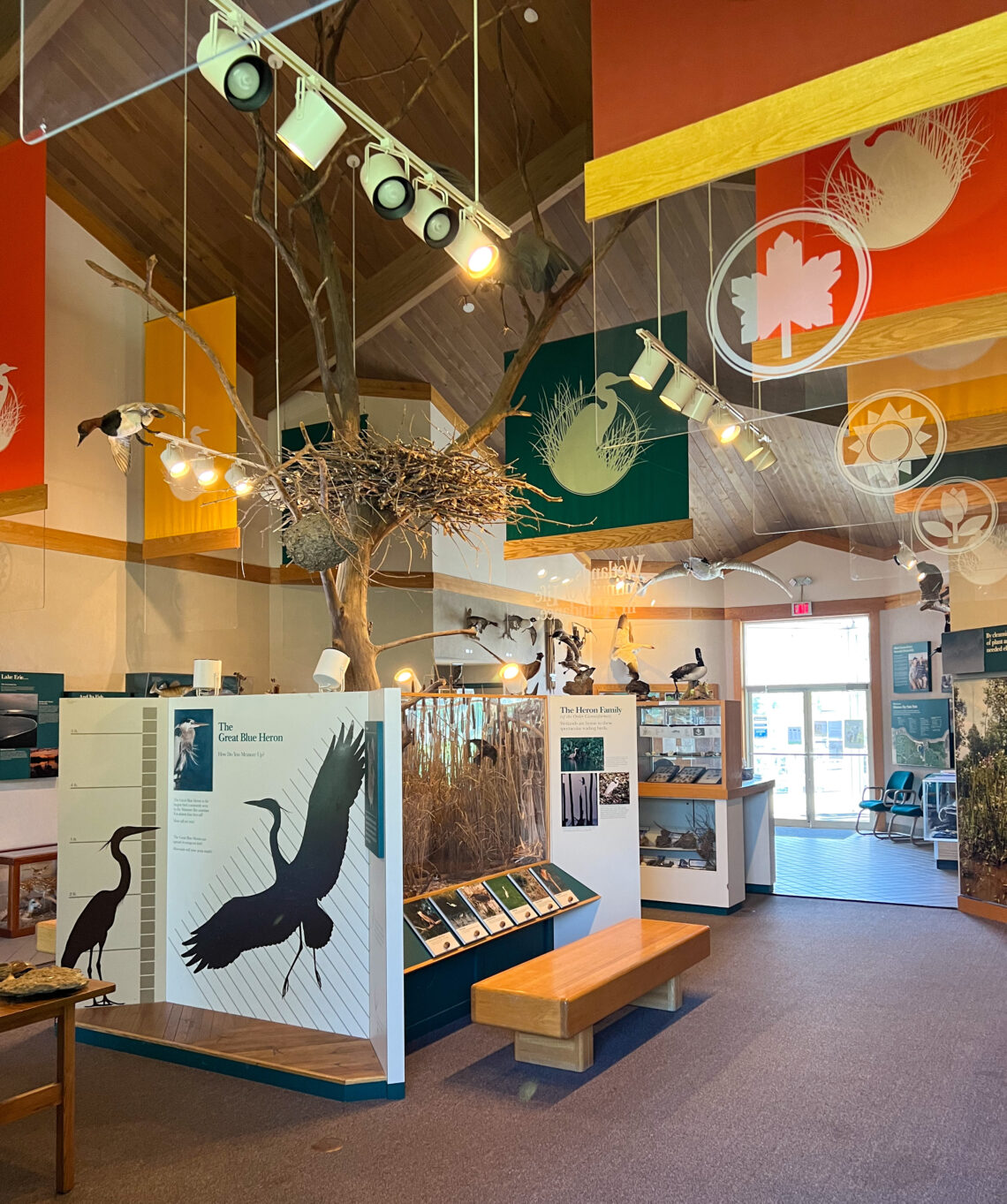 Maumee Bay State Park nature center exhibits - State Parks