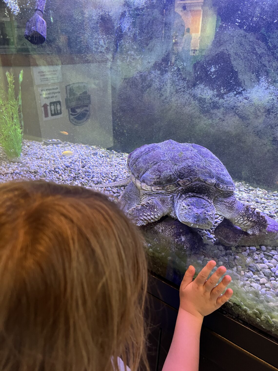 15 Things Do While Visiting Maumee Bay Lodge and Conference Center in ...