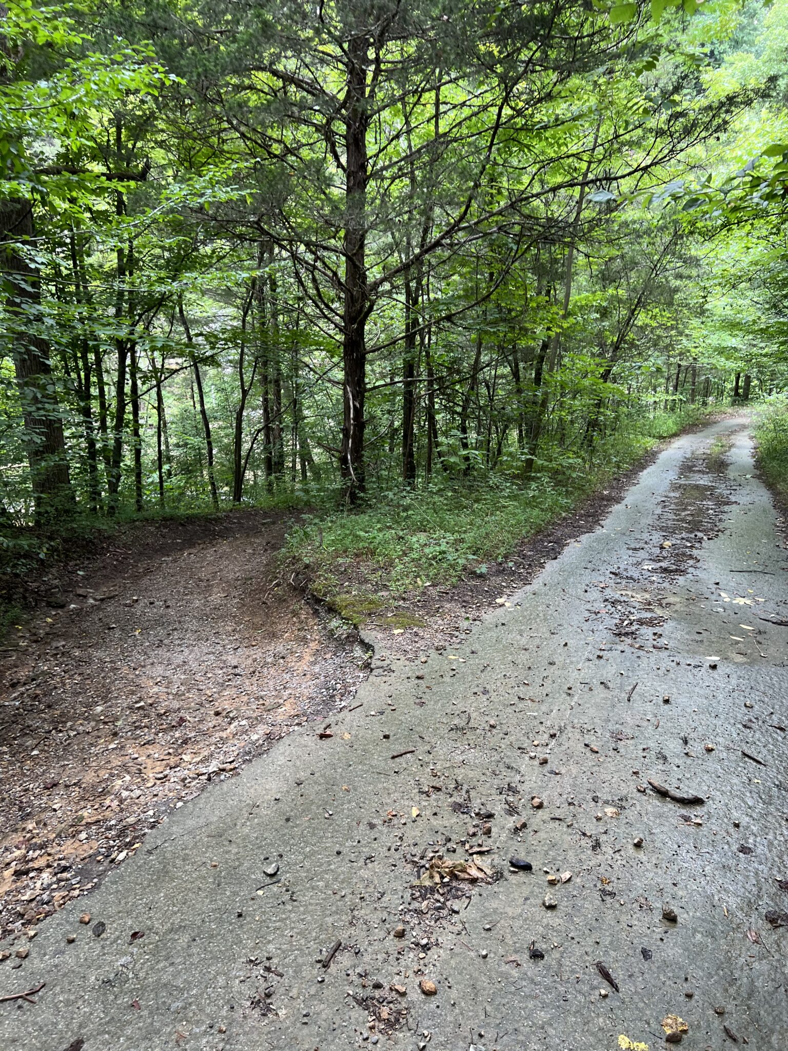 An Easy Guide To Roaring River Falls: A Hidden Tennessee Waterfall