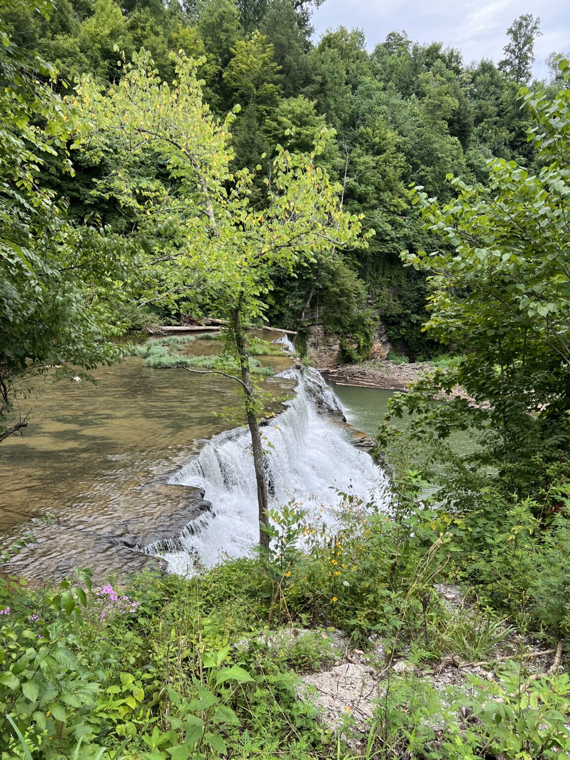 An Easy Guide To Roaring River Falls: A Hidden Tennessee Waterfall