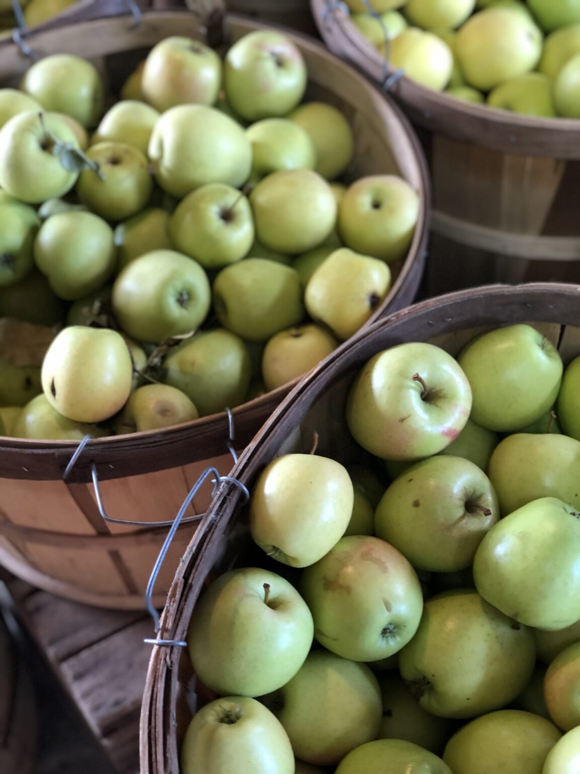 The Top Ten Spots To Go Apple Picking Near Cincinnati