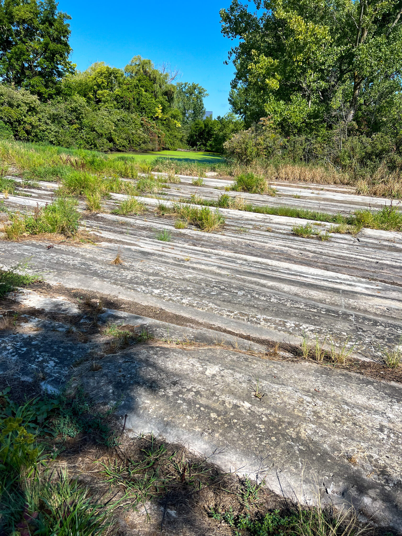 Middle Bass Island: The Ultimate Guide For Planning A Girl’s Getaway