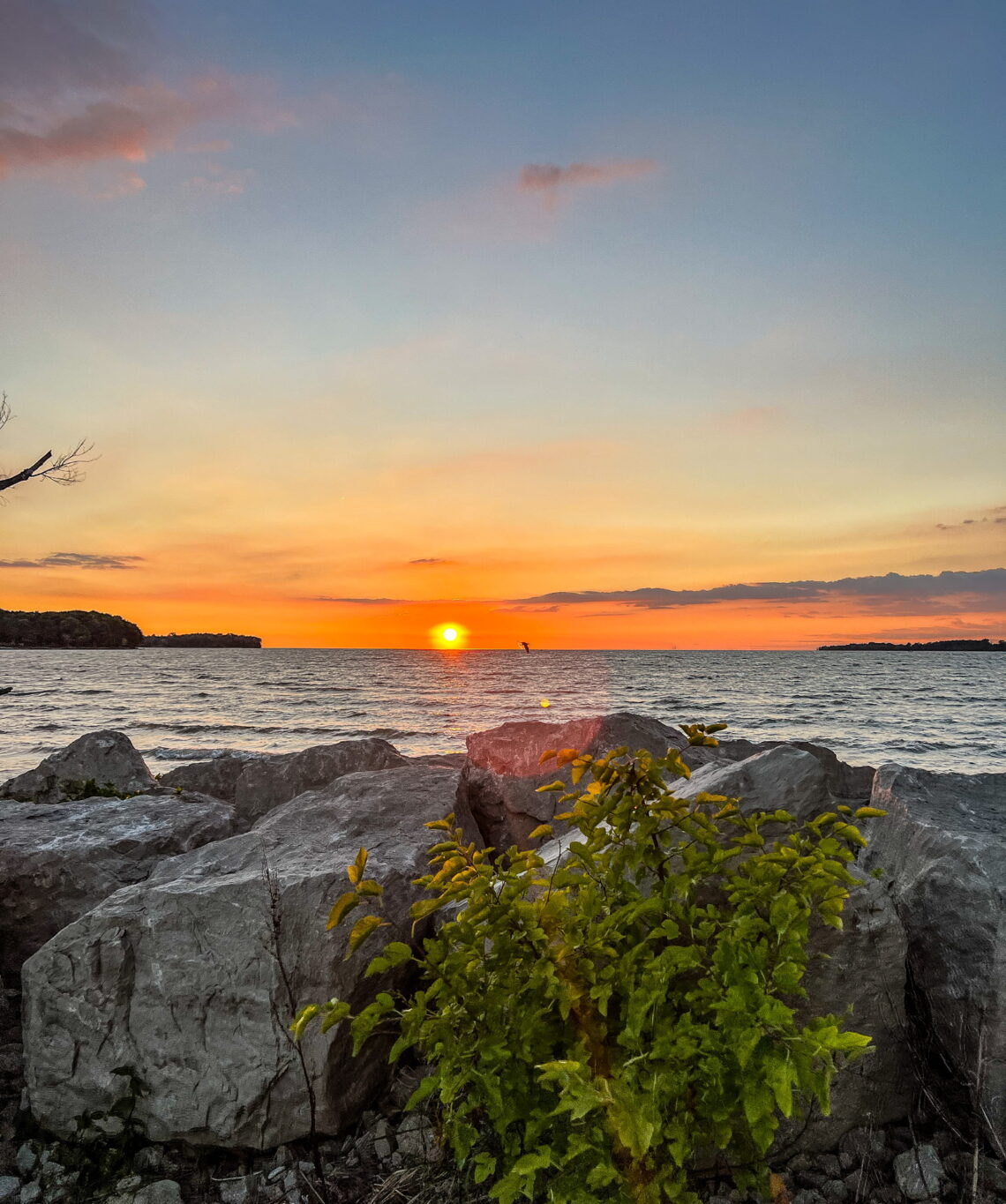 Bass Island: Tips For Visiting This Cincinnati Hidden Gem