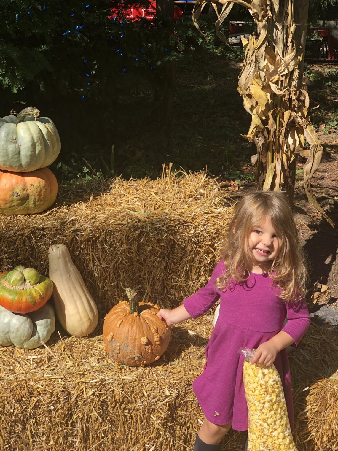 2025 Guide To Fall Activities In Cincinnati