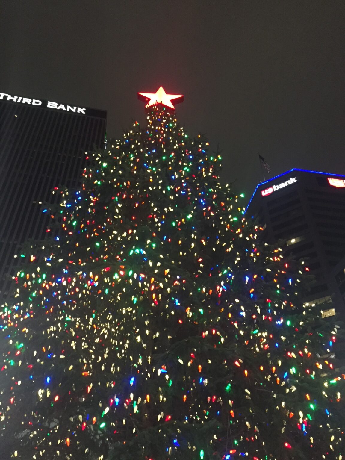 17 + Cincinnati Holiday Traditions & Events To Do in 2025 – Family Guide