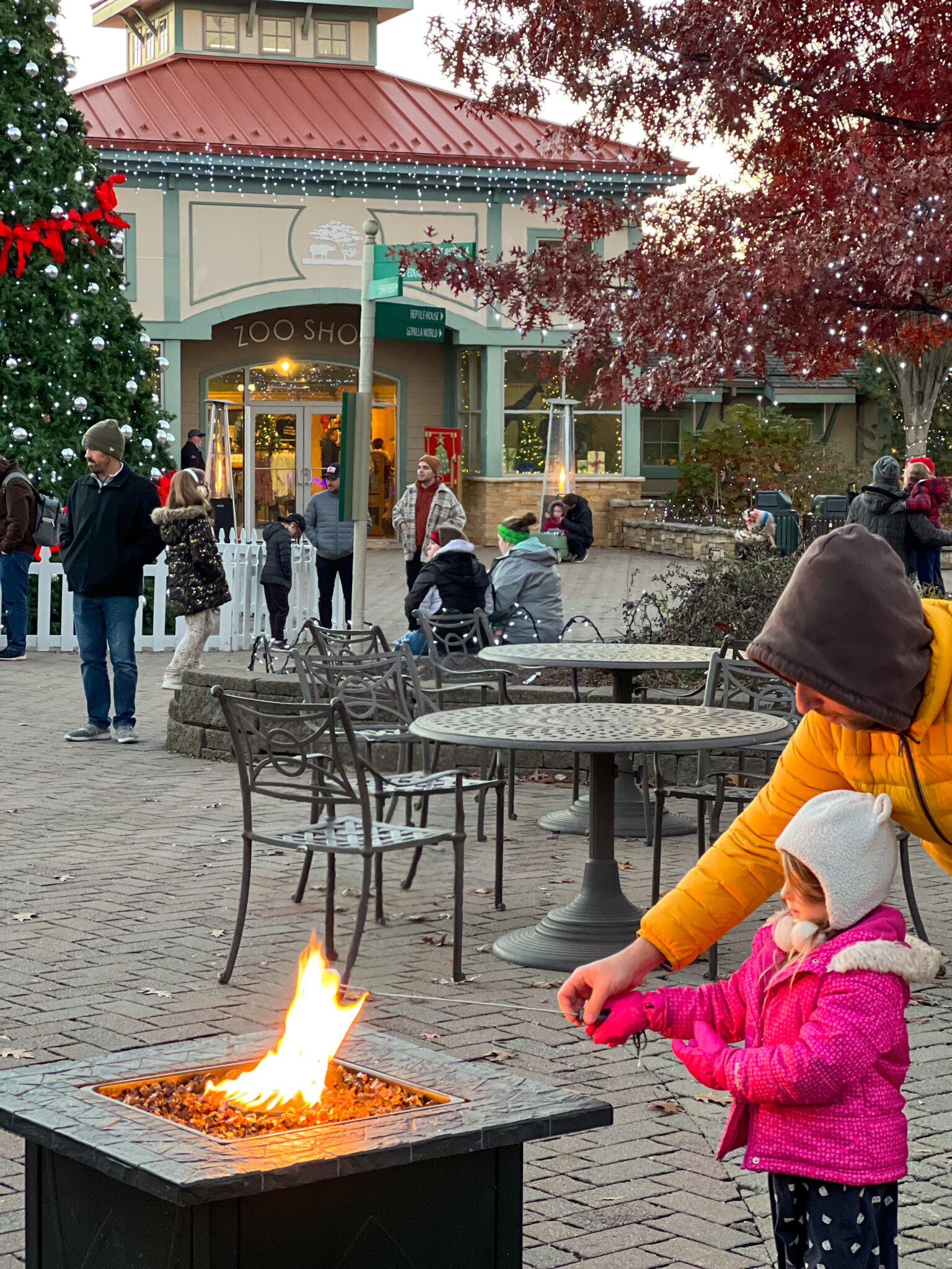 17 + Cincinnati Holiday Traditions & Events To Do in 2025 – Family Guide