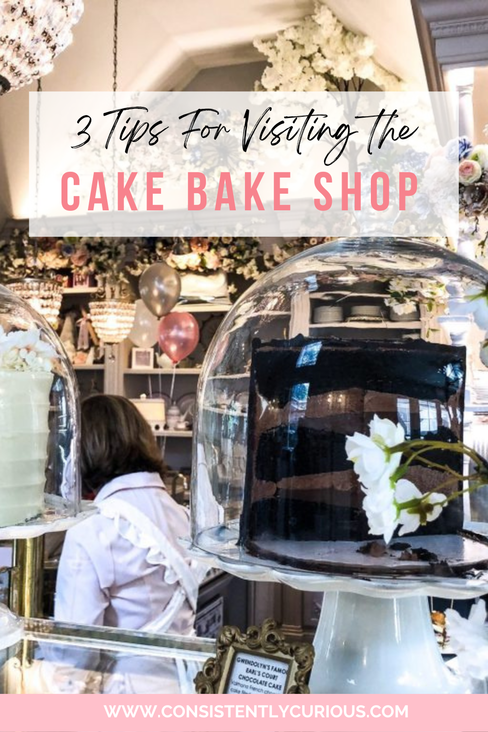 3 Important Tips For Visiting the Cake Bake Shop In Indianapolis