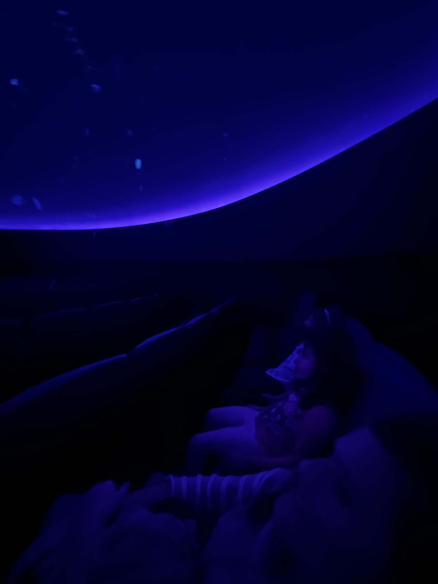 What’s Inside the Boonshoft Museum of Discovery?