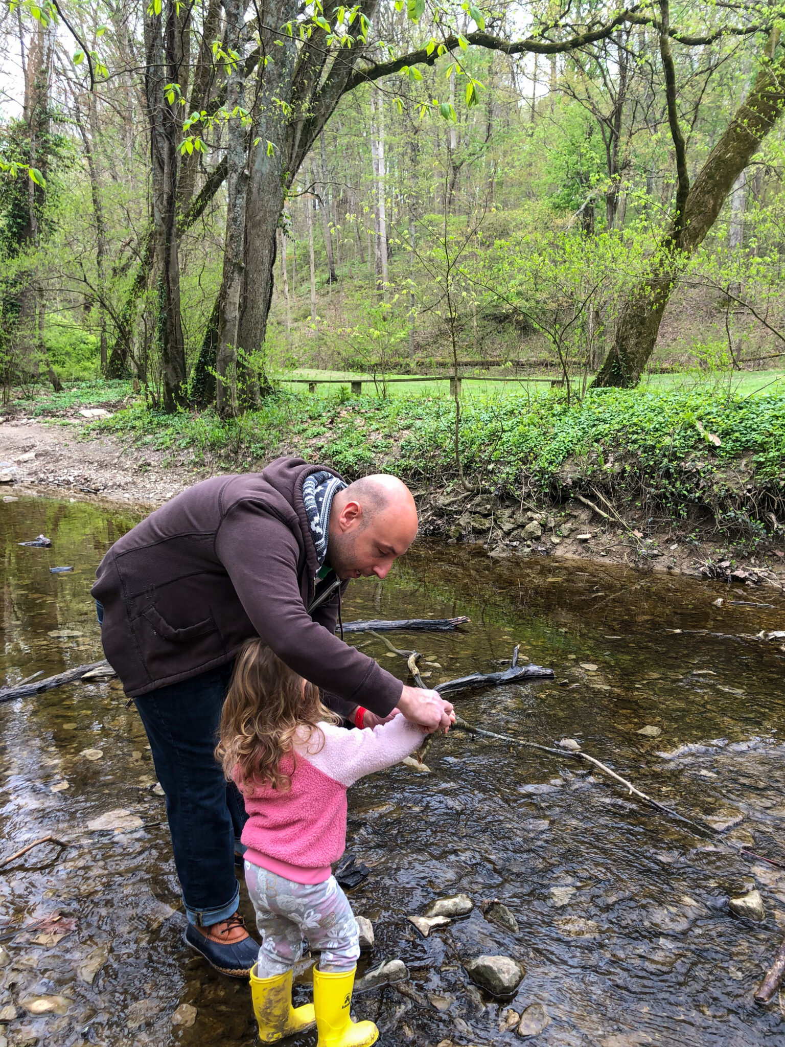Top Spots To Go Creeking In Cincinnati: A Creek Week Adventure