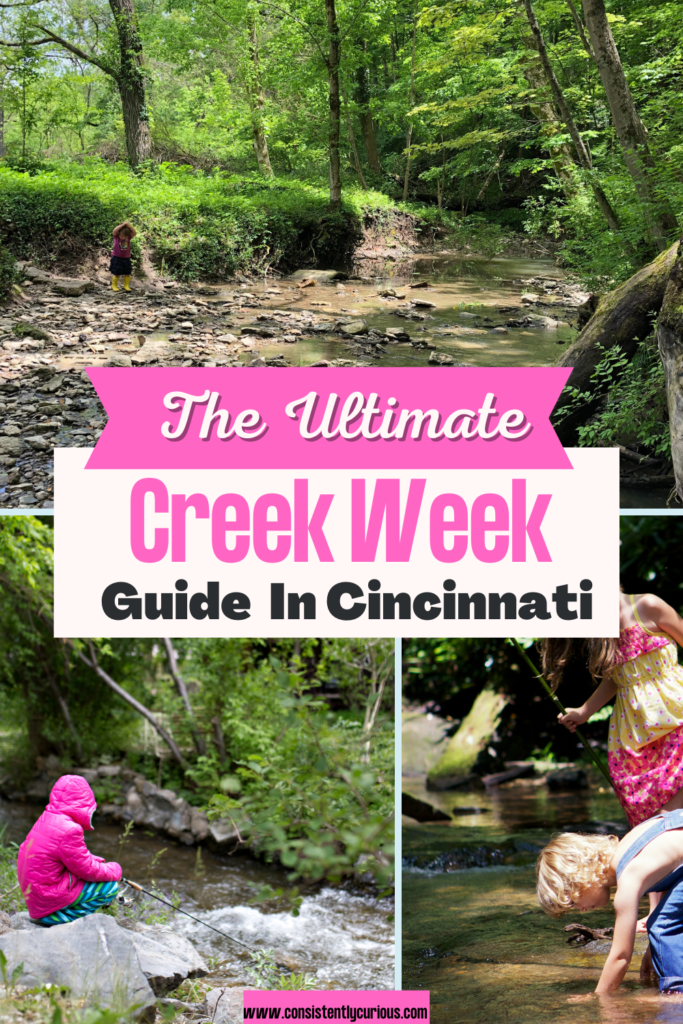 Top Spots To Go Creeking In Cincinnati: A Creek Week Adventure