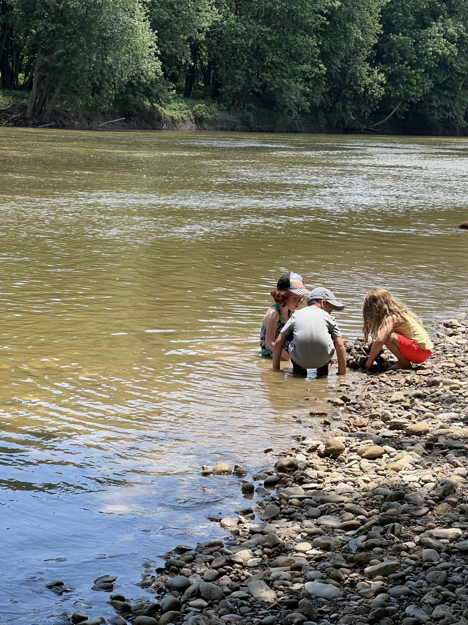 Top Spots To Go Creeking In Cincinnati: A Creek Week Adventure
