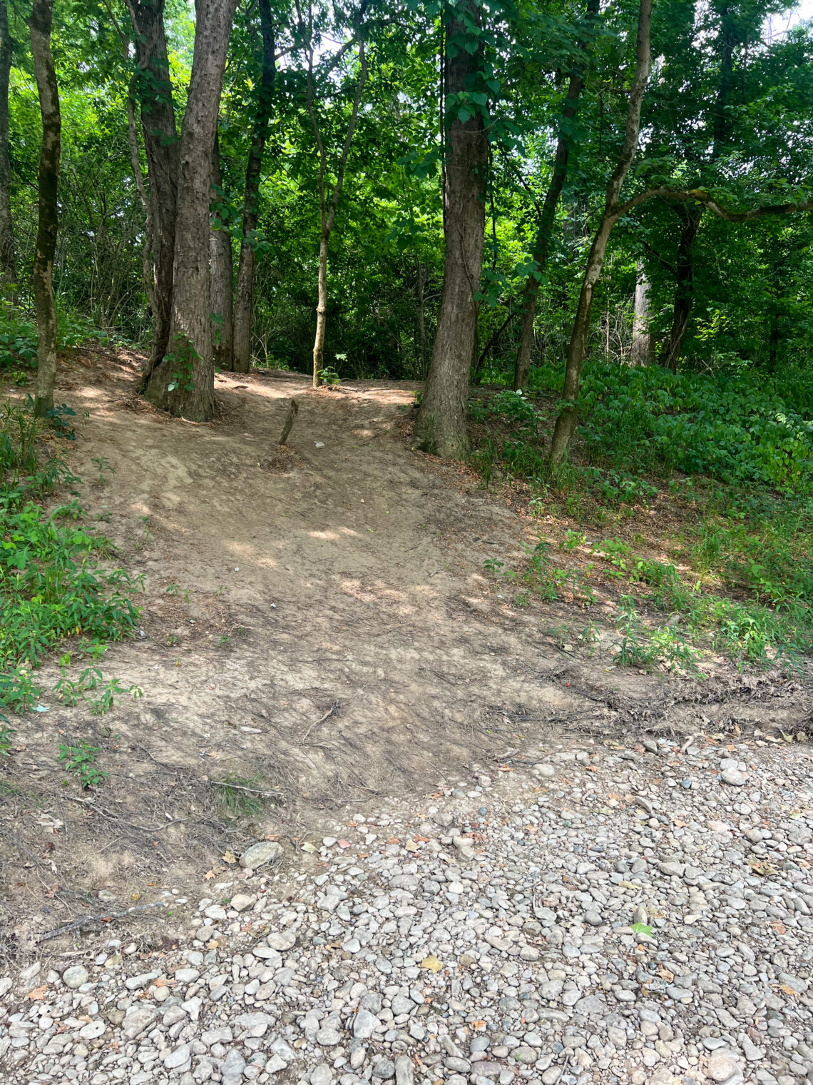Bass Island: Tips For Visiting This Cincinnati Hidden Gem