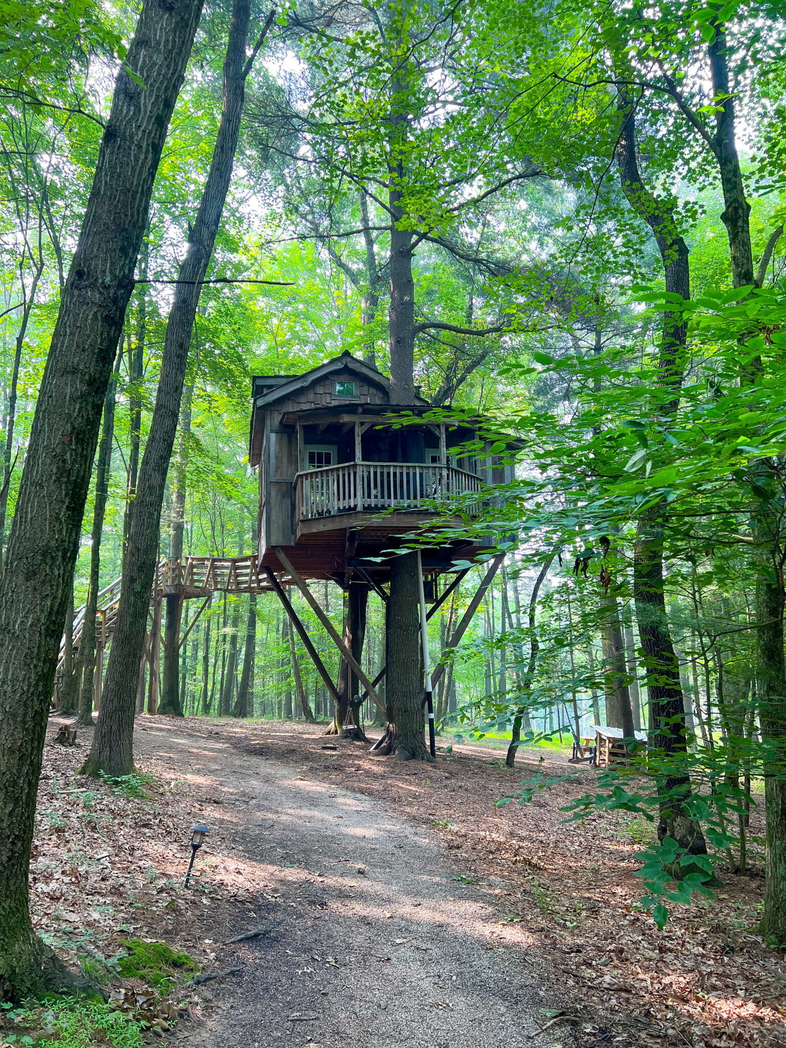 Old Pine Treehouse Review at The Mohicans