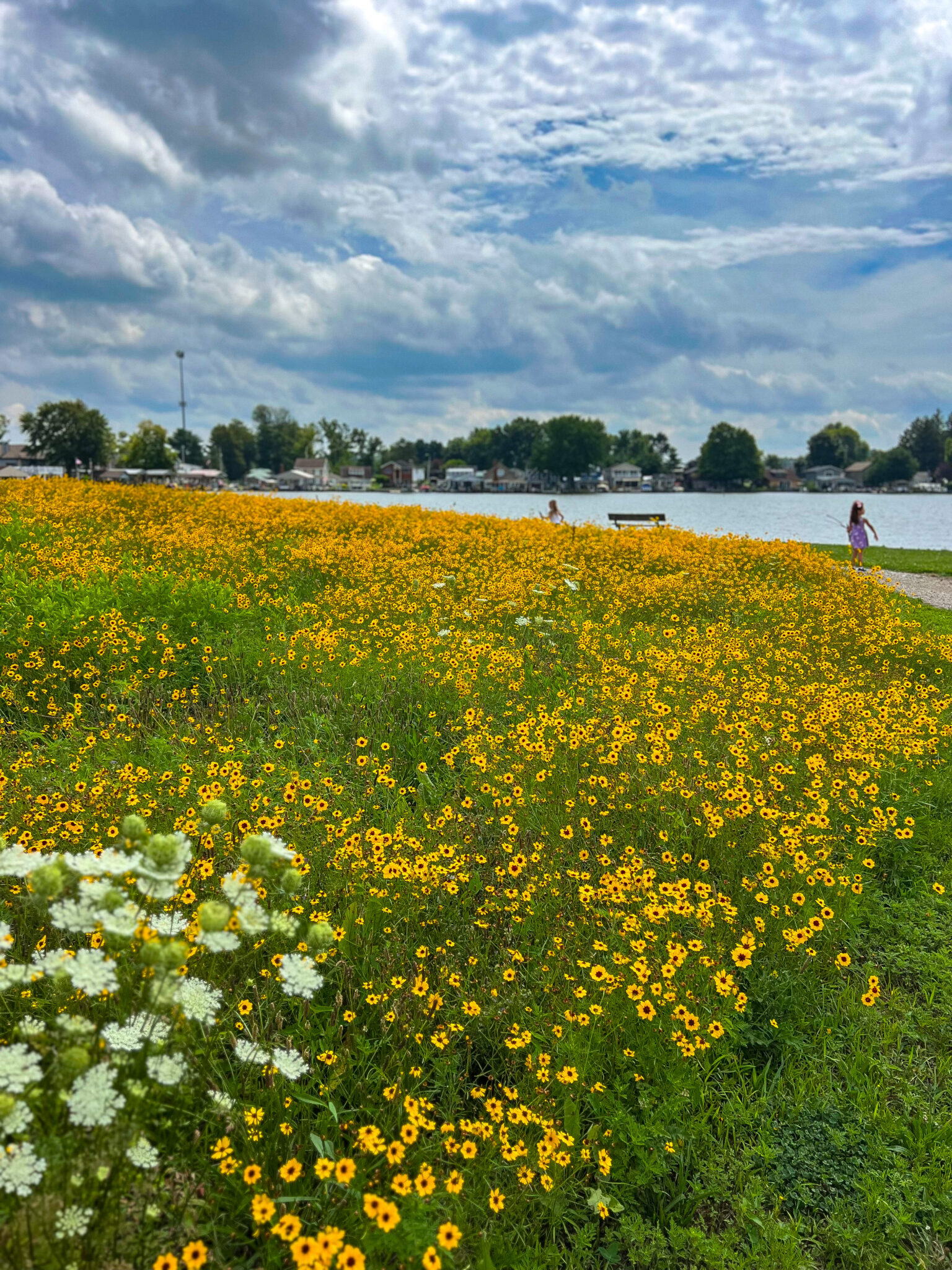 7 Top Restaurants Near Buckeye Lake