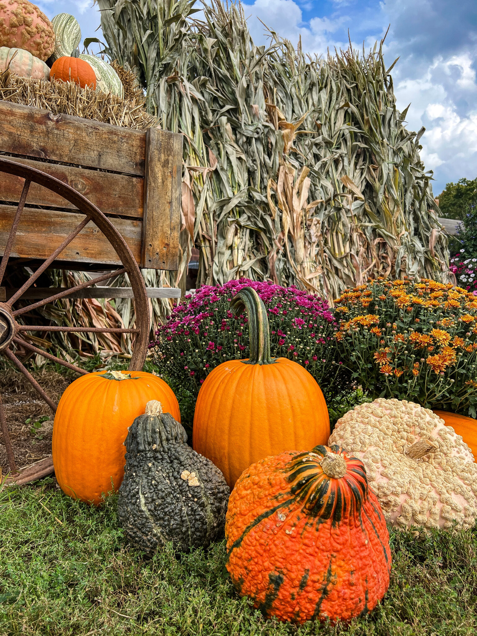 2025 Guide To Fall Activities In Cincinnati