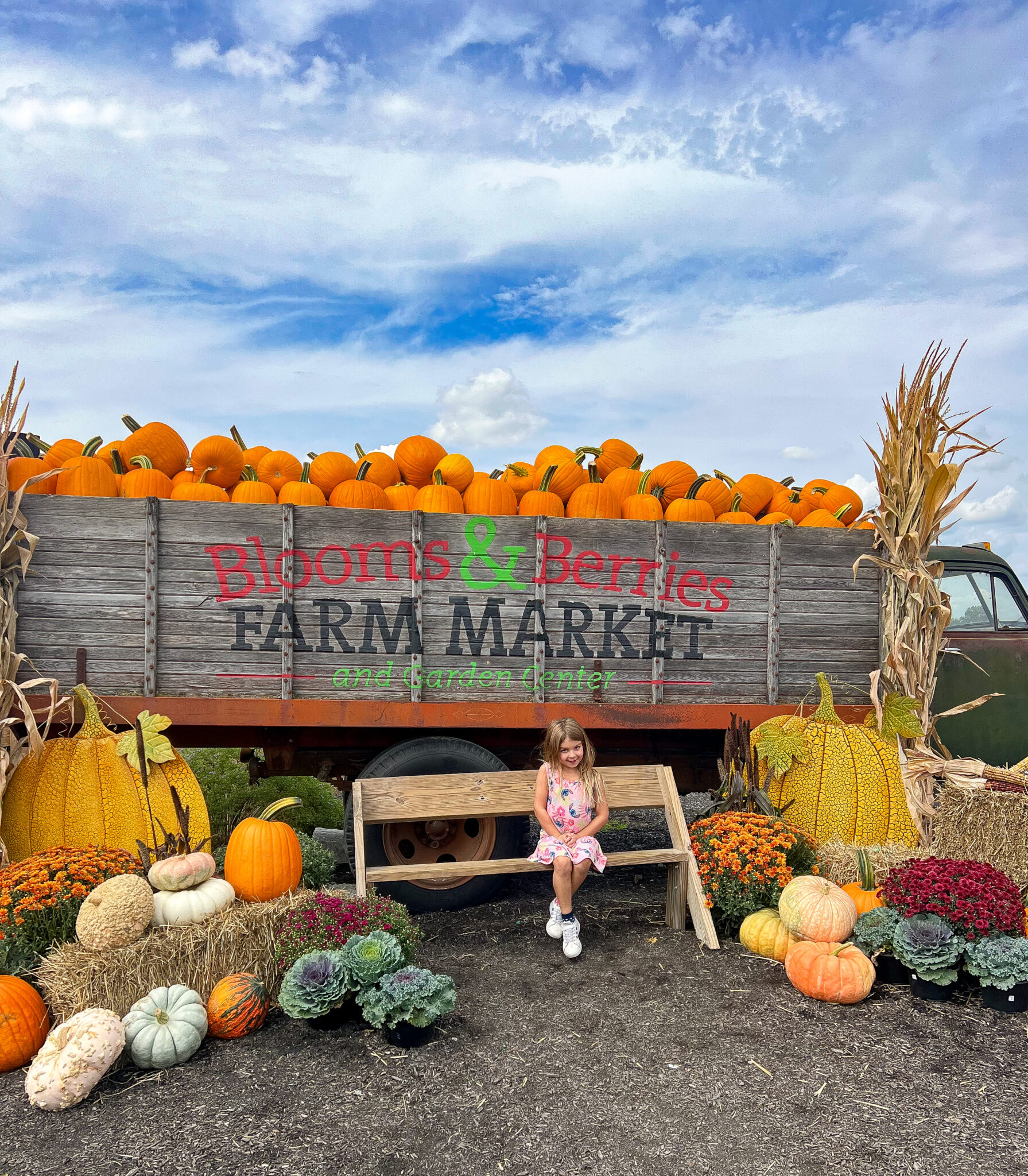 2025 Guide To Fall Activities In Cincinnati