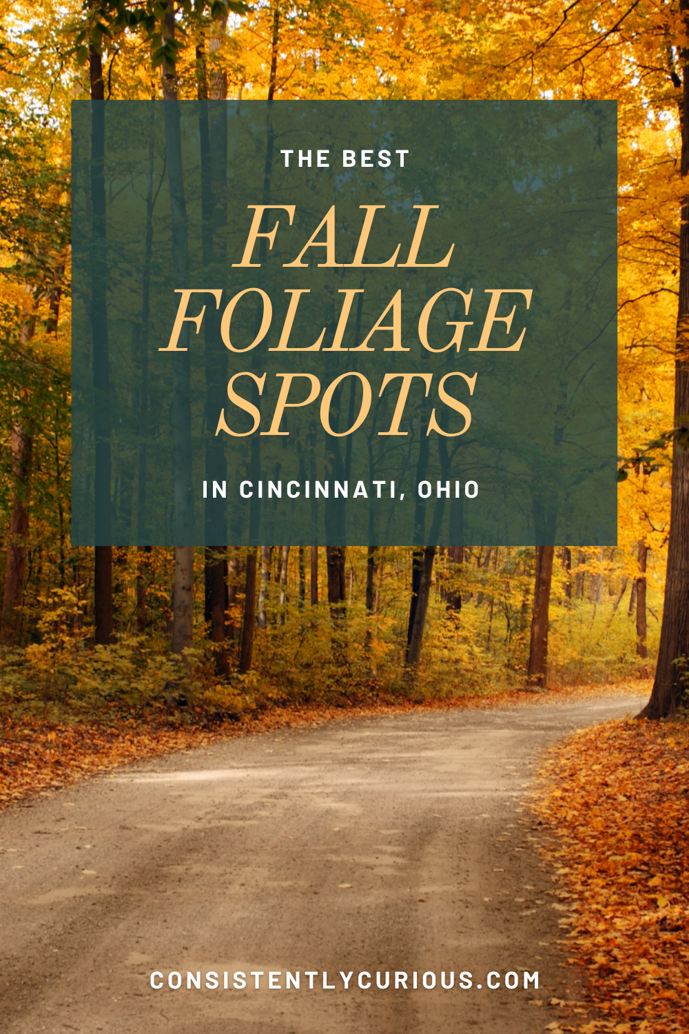 The Best Places To See Fall Foliage In Cincinnati