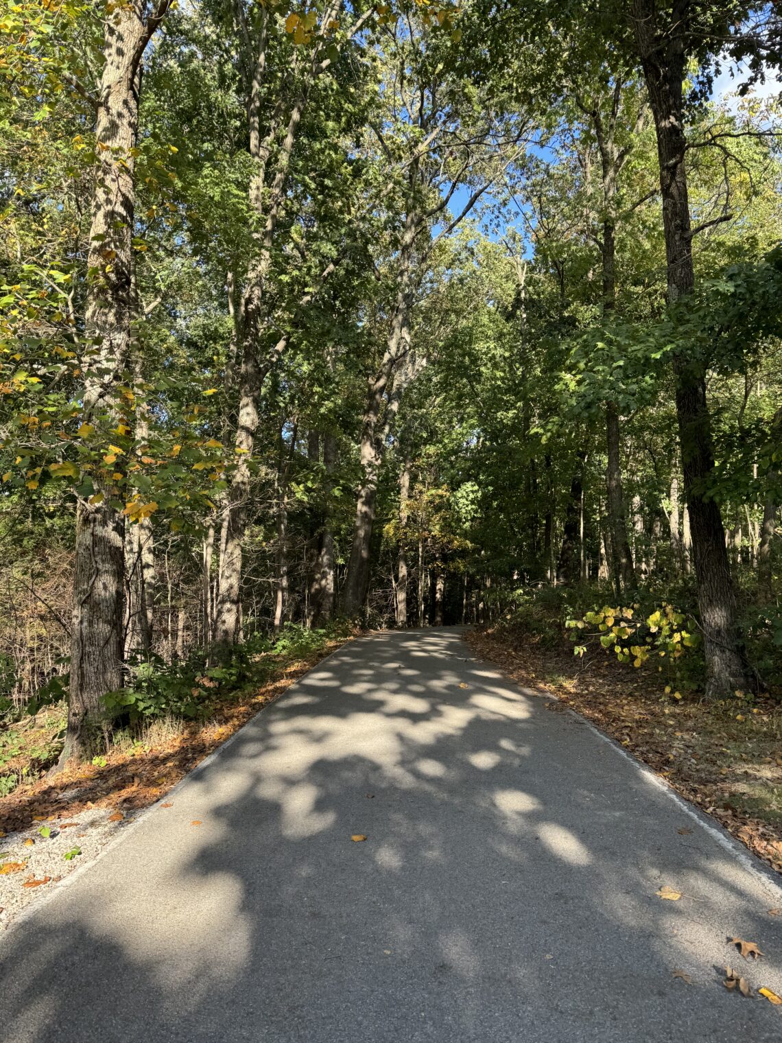 The Best Places To See Fall Foliage In Cincinnati