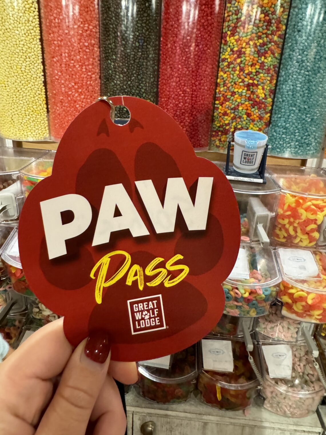 Tips For Visiting The Great Wolf Lodge in Mason, Ohio