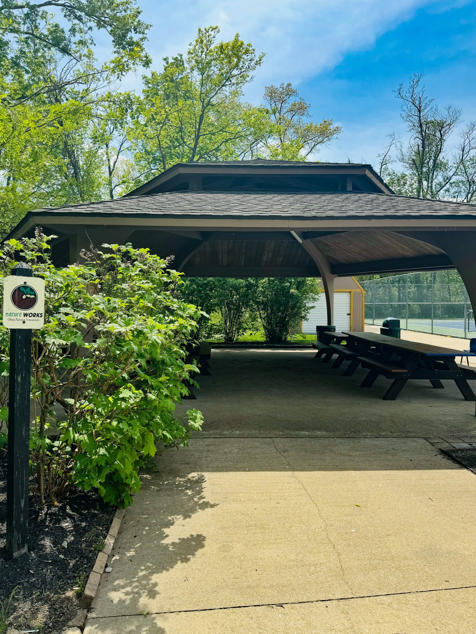 Sellman Park: A Madeira Family Favorite