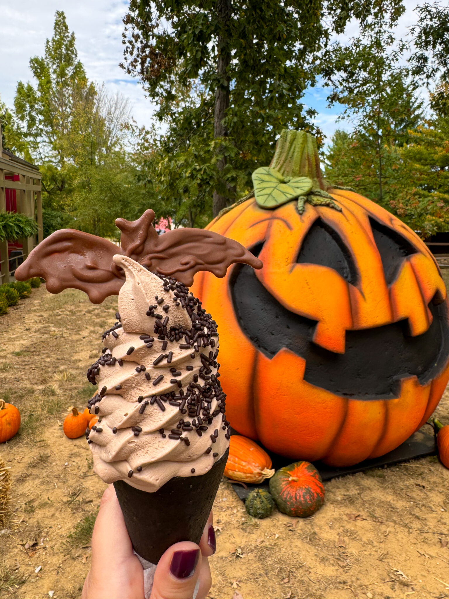 5 Upgrades You Need At Holiday World