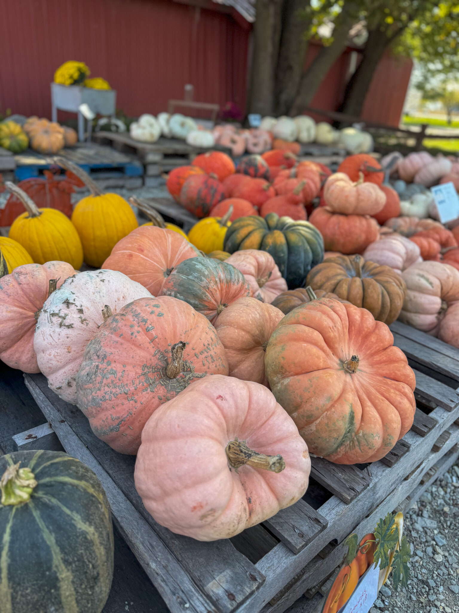 The Ultimate Guide to Planning Your Dream Fall Getaway in Hamilton ...