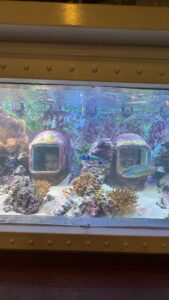 What to Expect at the History of Diving Museum in the Florida Keys