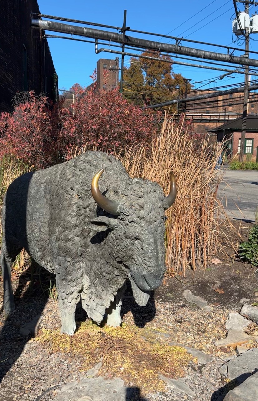 Buffalo Trace Distillery Day Trip: The Ultimate Bourbon Trail Experience